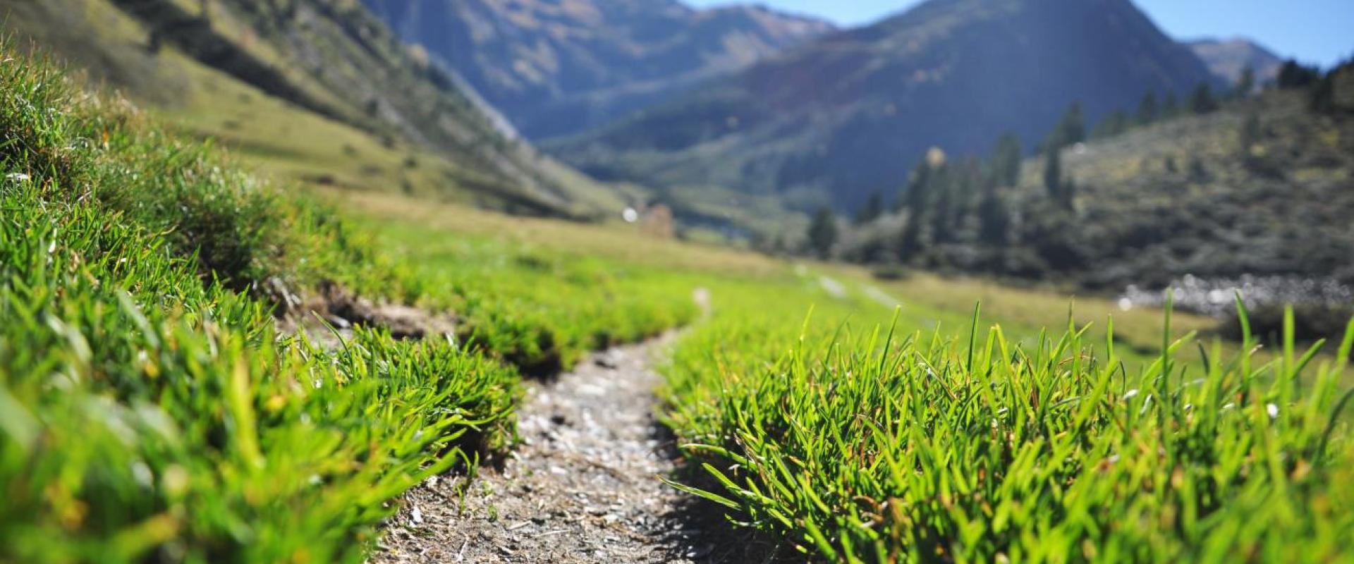 Home | Sage Advisors, LLC